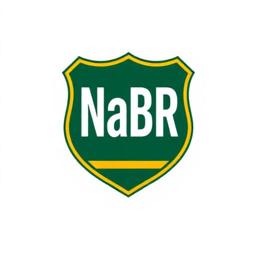 NaBR - Dicas reais de quem vive a estrada brasileira